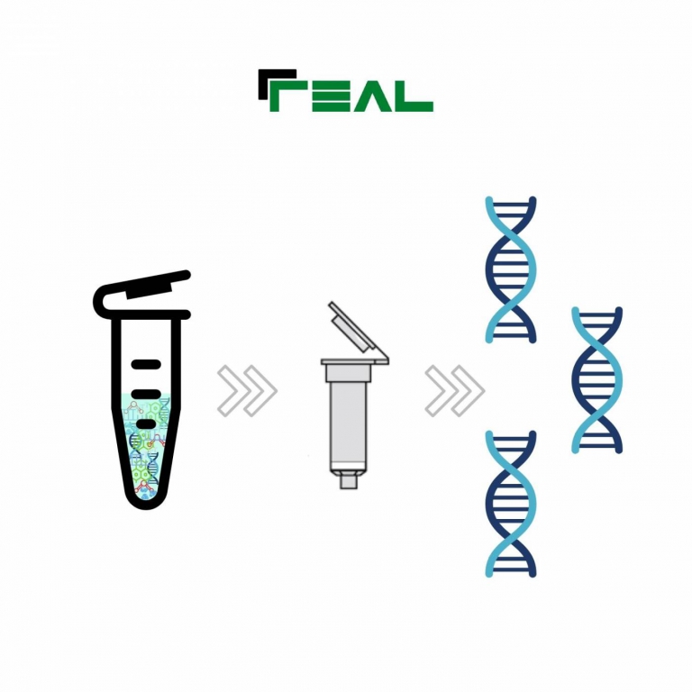 REAL Microbiome vaginal DNA kit - Real Laboratory