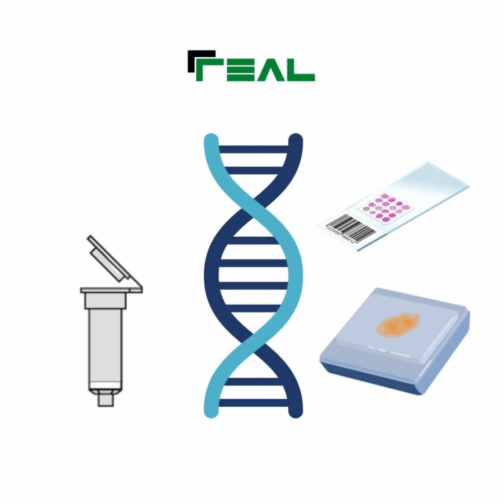 REAL Microbiome Vaginal DNA kit - Real Laboratory