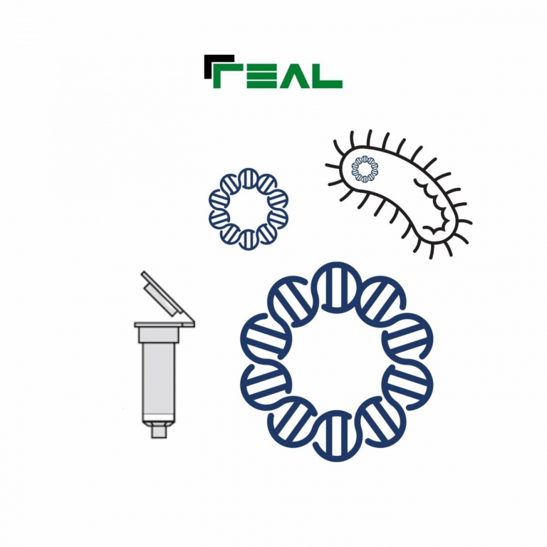 REAL Microbiome vaginal DNA kit - Real Laboratory