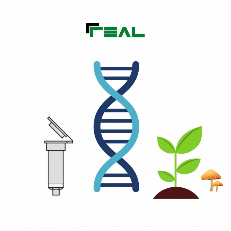 REAL Saliva DNA Sample Collection Kit - Real Laboratory